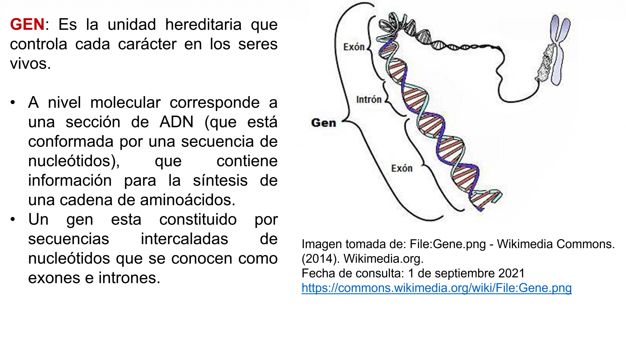 Conceptos básicos de genética – Alianza B@UNAM, CCH & ENP ante la pandemia